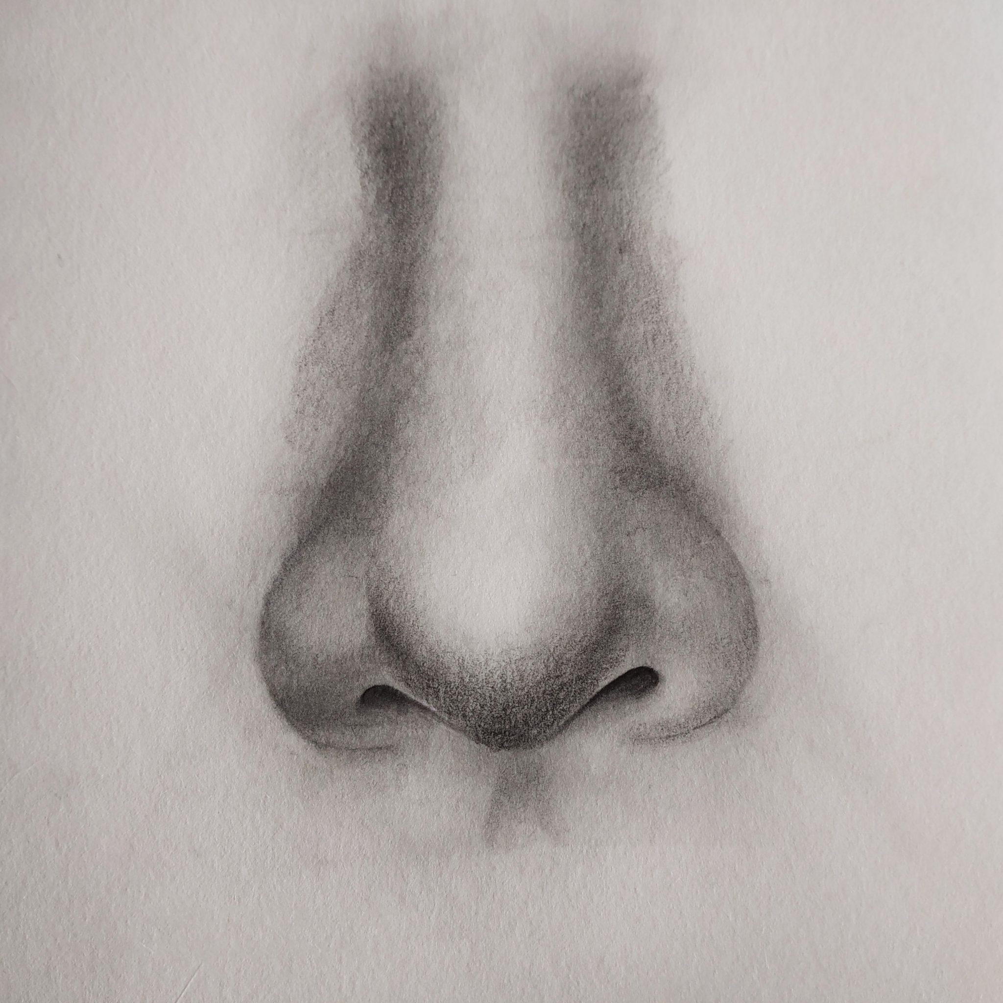 How To Draw Nose front View LOV4ARTS Easy Drawing Techniques How To Draw Nose front View LOV4ARTS Easy Drawing Techniques