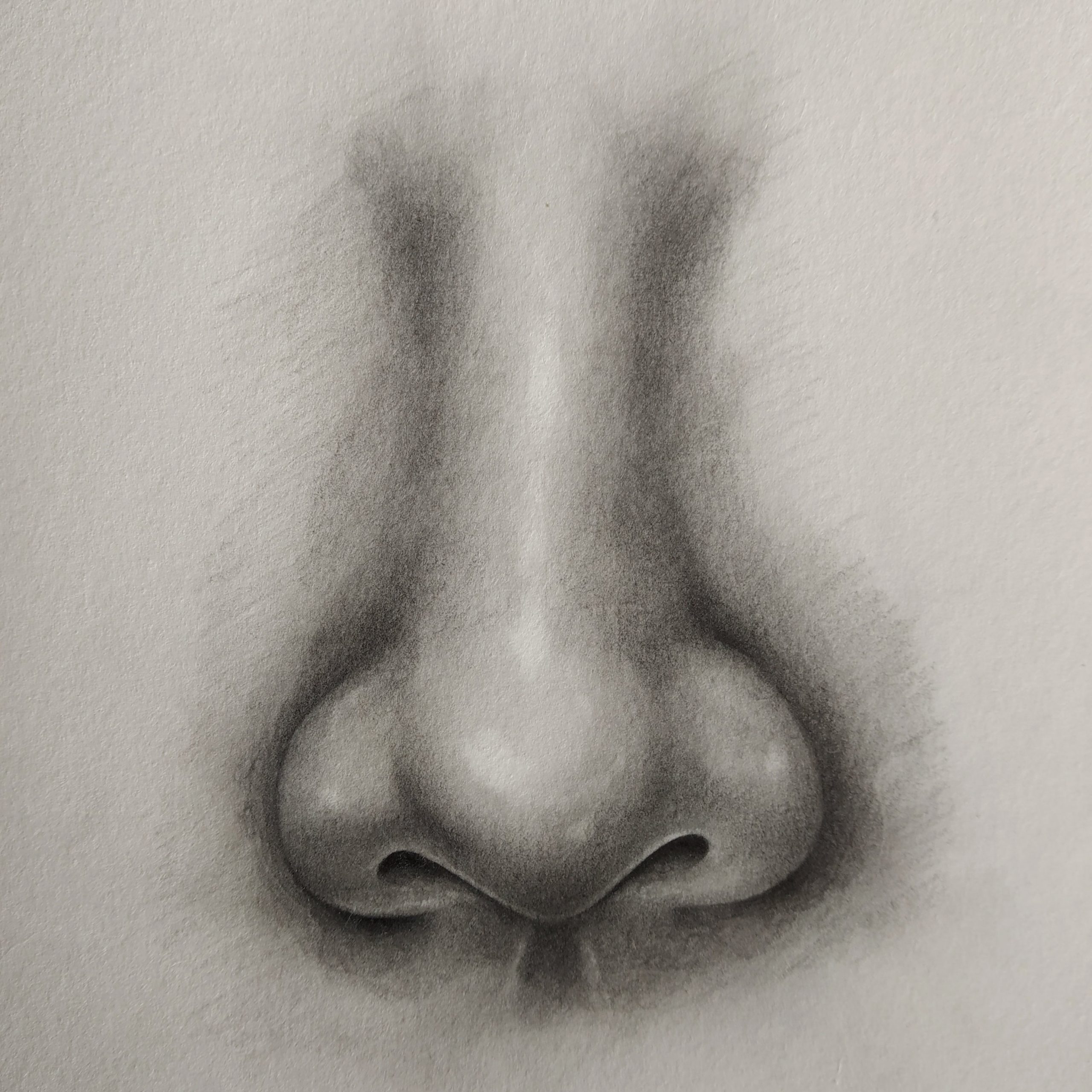 How To Draw Nose front View LOV4ARTS Easy Drawing Techniques How To Draw Nose front View LOV4ARTS Easy Drawing Techniques
